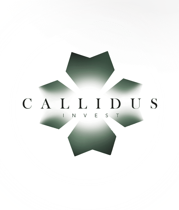 Недвижимость в Германии с Callidus Invest